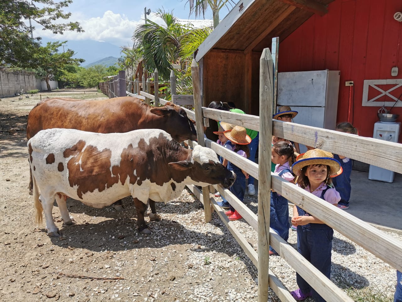 Descubre por qué elegir un colegio eco-school para tus hijos - Bureche ...